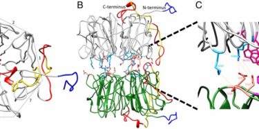 Perdita Barran Group – Michael Barber Centre for Collaborative Mass ...
