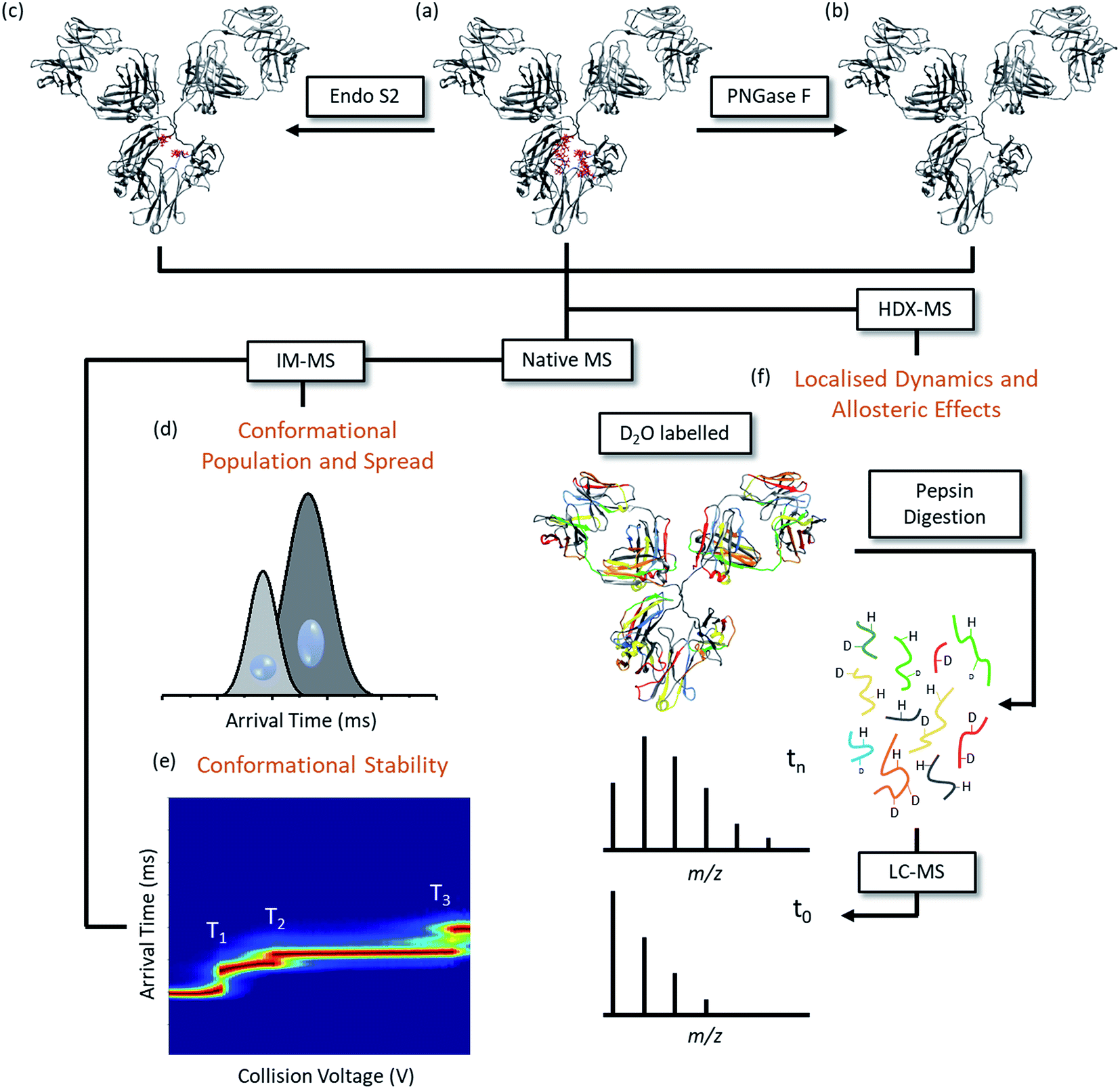Hybrid mass spectrometry methods reveal lot-tolot differences and ...