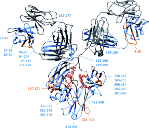 Publications – Perdita Barran Group