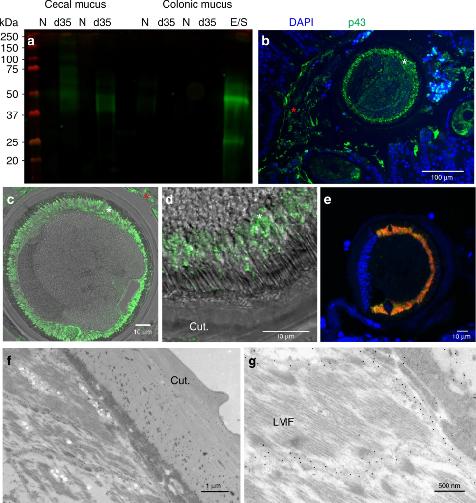 Publications – Perdita Barran Group